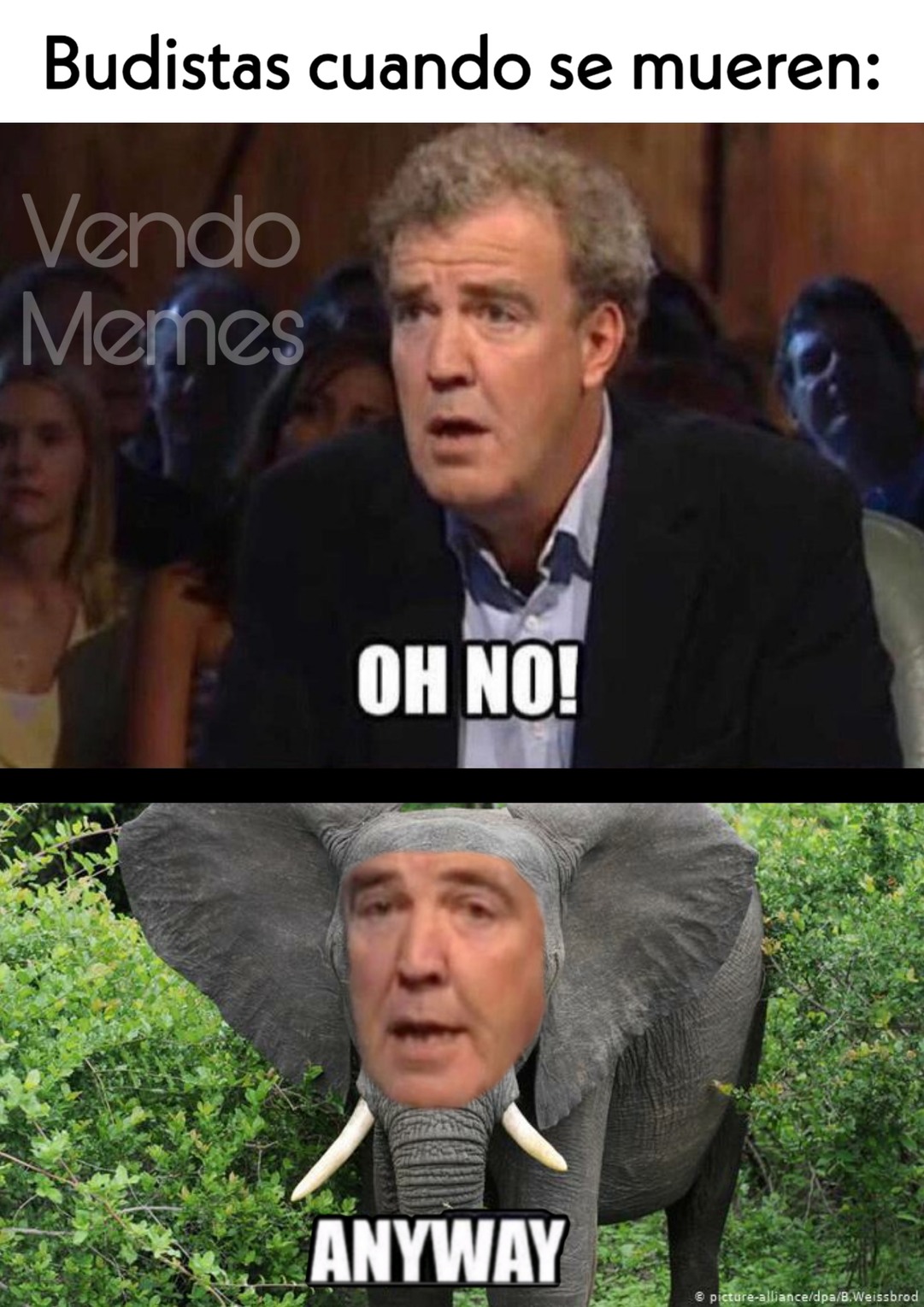 Elefante - Meme subido por VendoMemes :) Memedroid