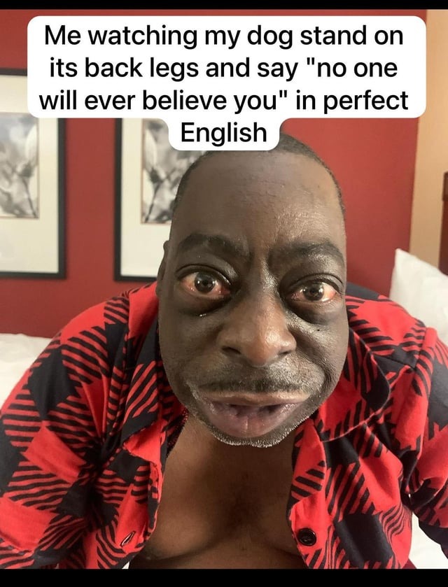 Latest memes / New memes :) Memedroid