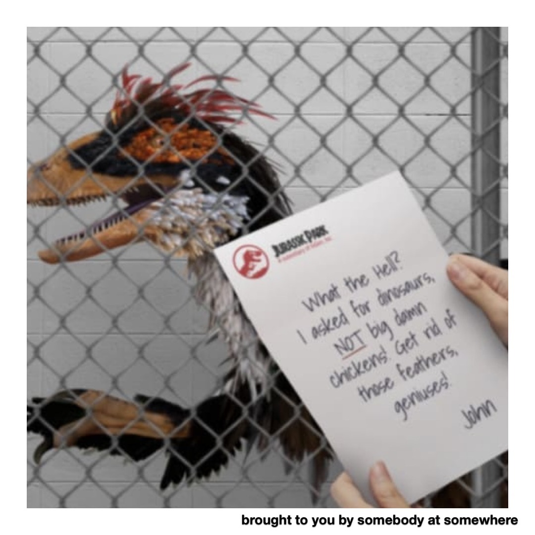 The Latest Memes :) Memedroid