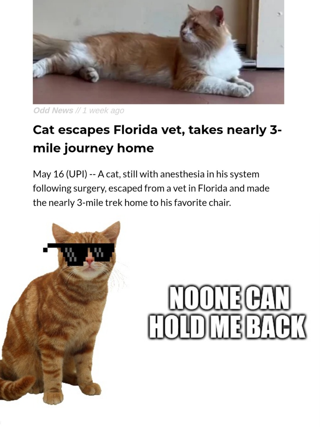 The best Escape memes :) Memedroid