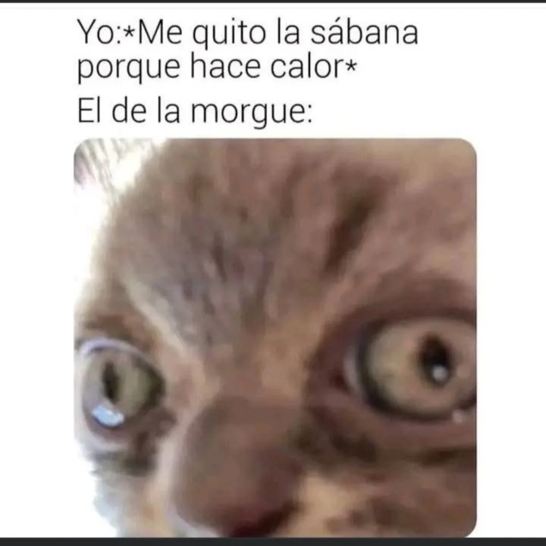 Ace Calor Memes