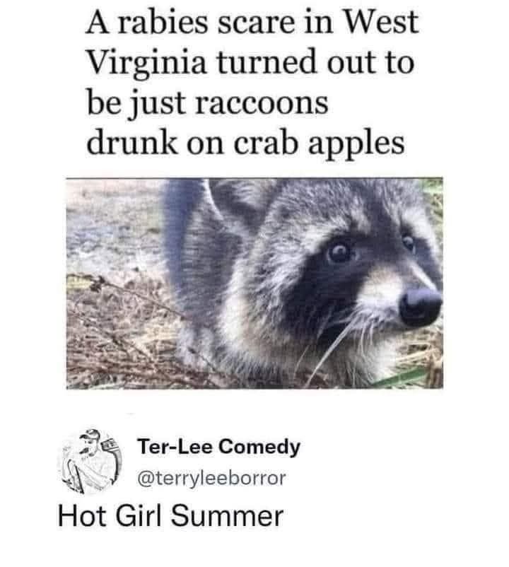 The best Drunk memes :) Memedroid