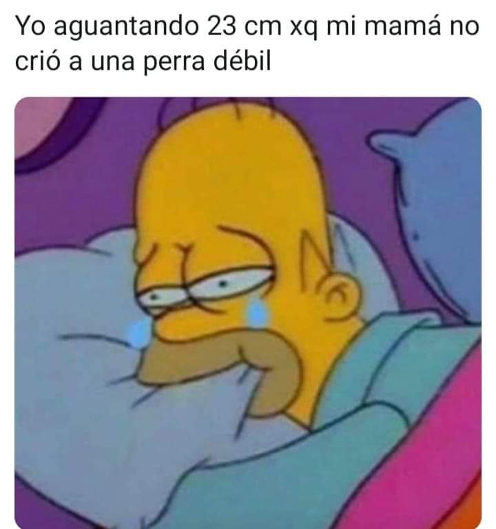 Top memes de homero en español :) Memedroid