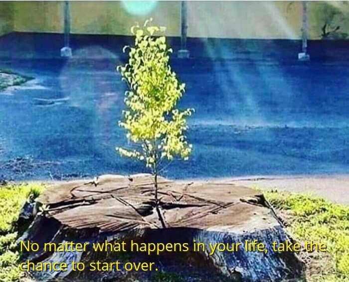 No matter what happens in your life take the chance to start over ...
