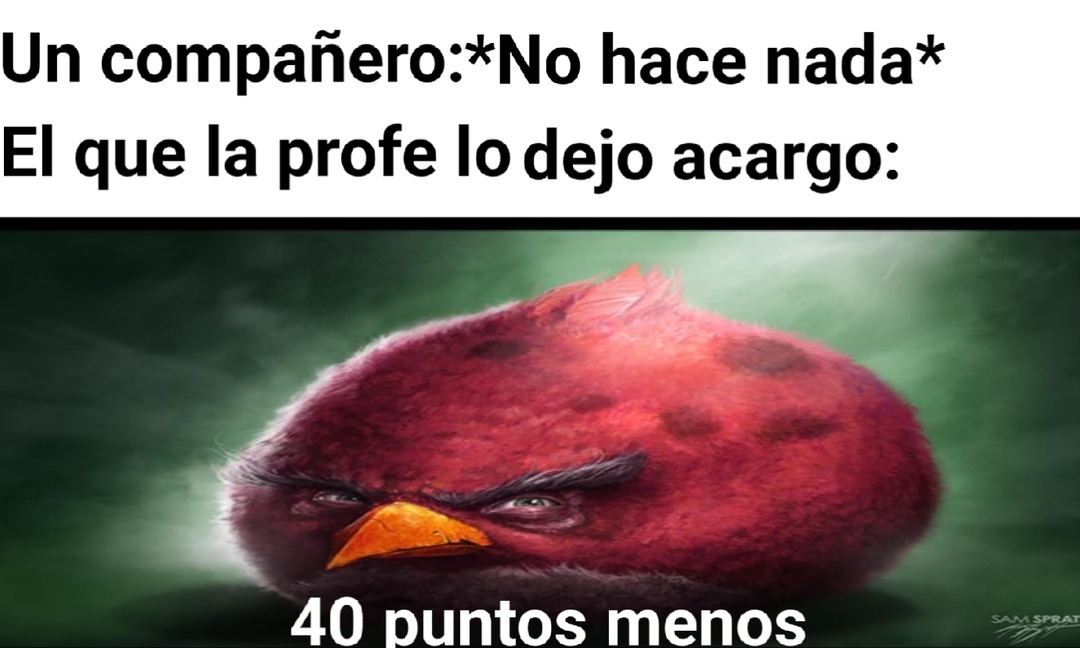 Los Últimos Memes :) Memedroid