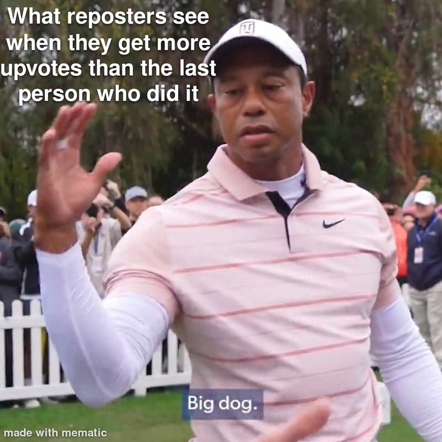 The Latest Memes :) Memedroid