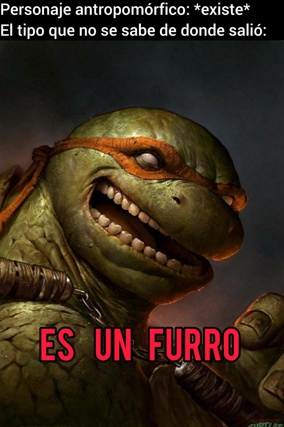 Furro es un transtornado disfrazado, no una tortuga que a dos patas se ...