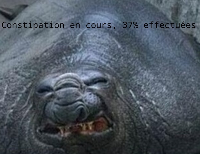 constipation occasionnelle - Meme subido por LyaManga :) Memedroid