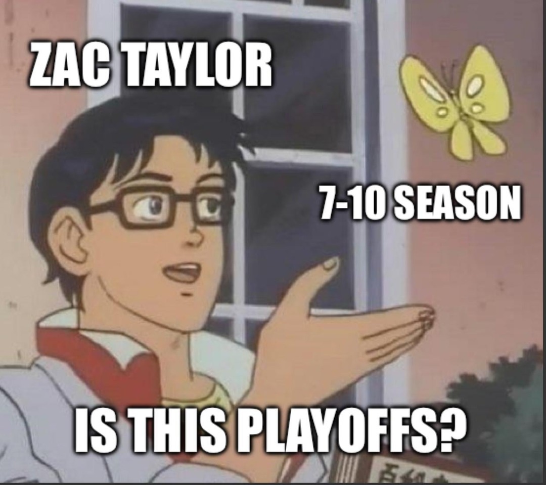 The best Bengals memes :) Memedroid