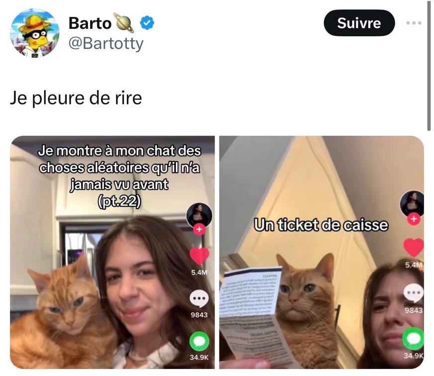 Les meilleurs mèmes Chat :) Memedroid