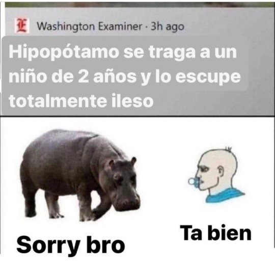 Los Últimos Memes :) Memedroid