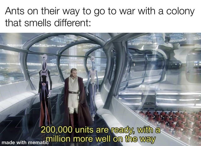 The best Ants memes :) Memedroid