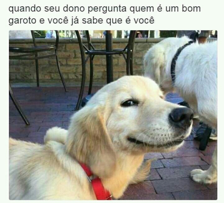É isso msm kkkkkm - Meme subido por xSparckllesx :) Memedroid