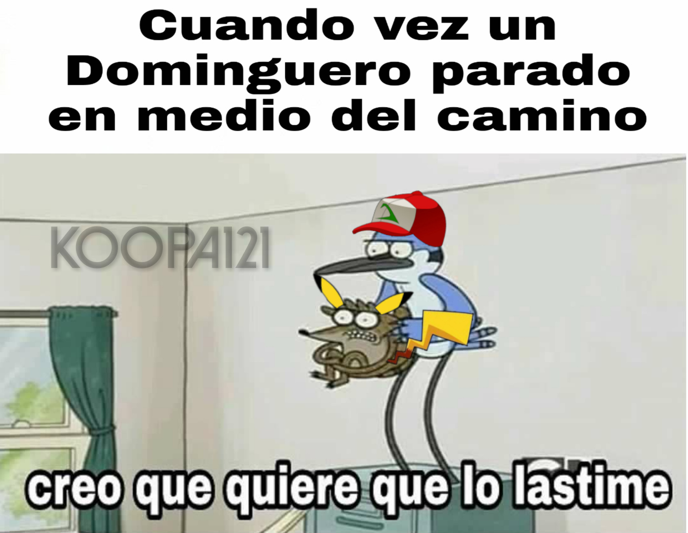 Creo que quiere que lo suba - Meme subido por Koopa121 :) Memedroid