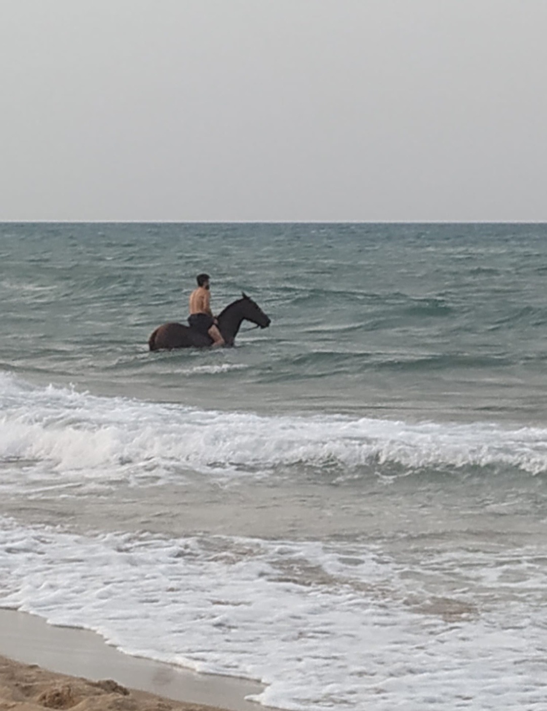 Caballo momento - Meme subido por Arzoocadoo :) Memedroid