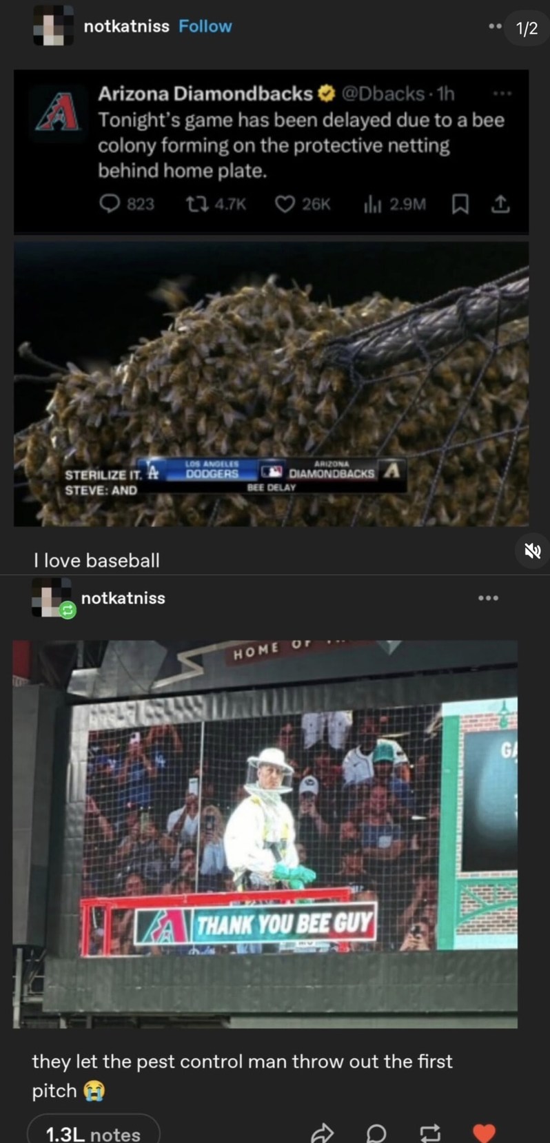 The best Baseball memes :) Memedroid