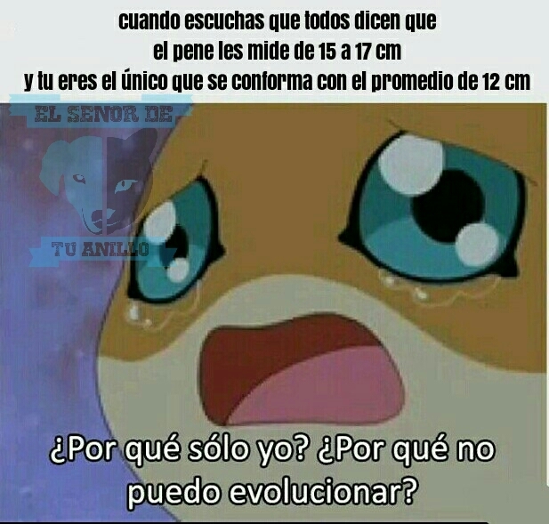 Yo también quiero - Meme subido por El_senor_detu_anill0 :) Memedroid