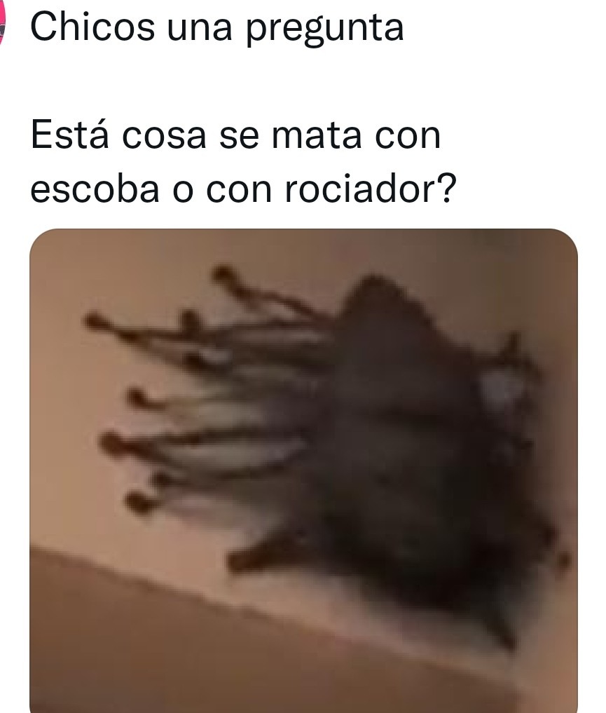 Ambas - Meme by Cabradamus :) Memedroid