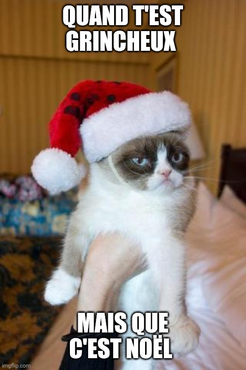 Chat Grincheux Oui Meme Le Célèbre Chat Grincheux Grumpy Cat à La