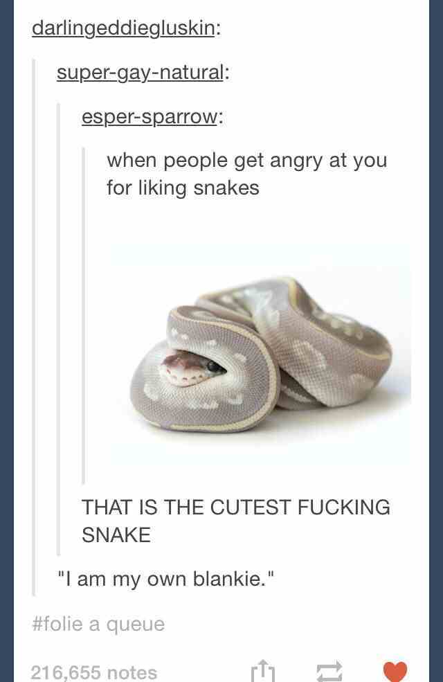 awwwww - Meme by stanleydpeter :) Memedroid