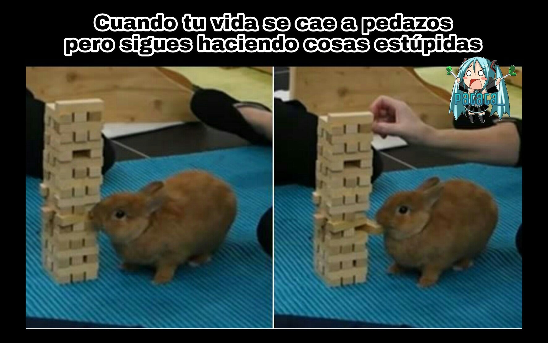 Meme subido por Patata_ :) Memedroid