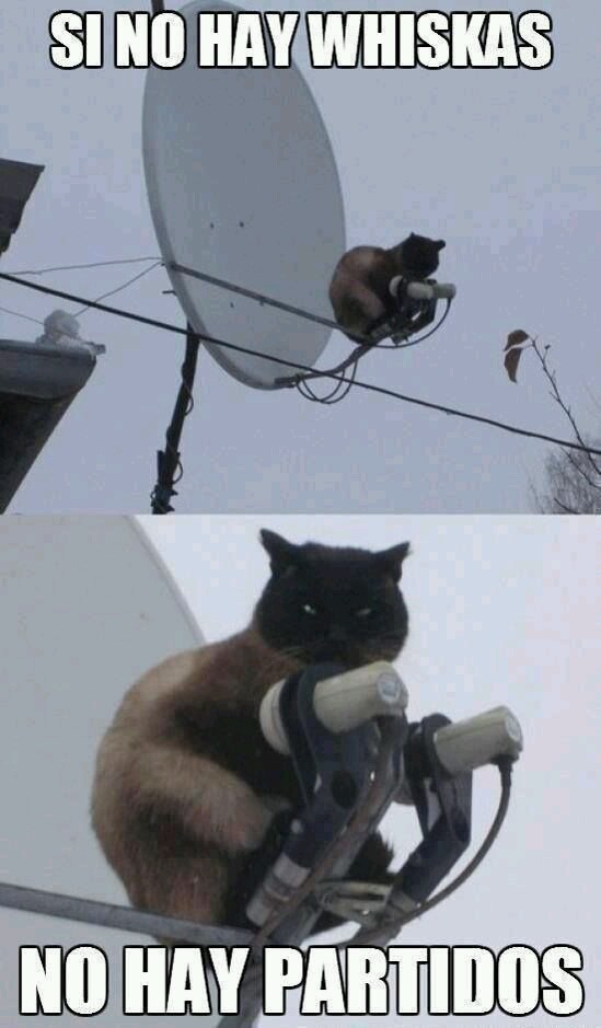 Así llega el anime s la tele - Meme by taicuasa :) Memedroid