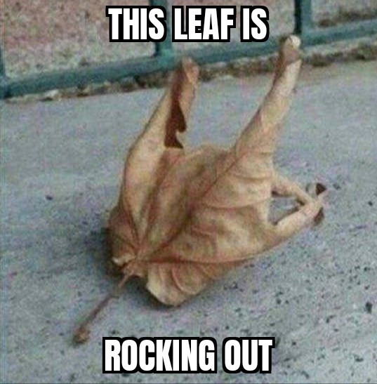 Latest memes / New memes :) Memedroid