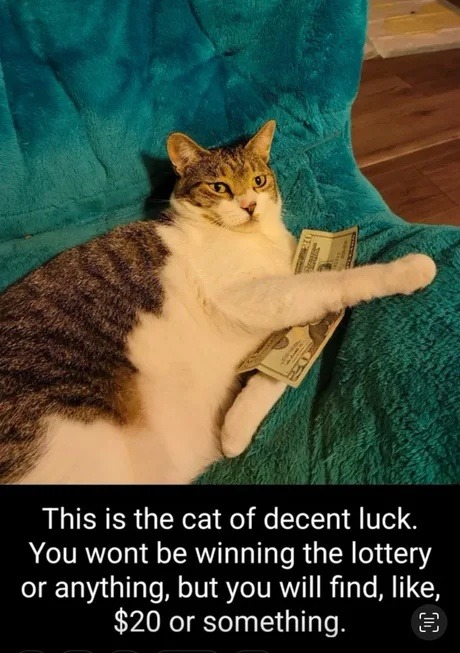 The best Luck memes :) Memedroid