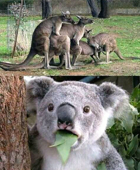 +18 - Meme subido por Ramiiro :) Memedroid