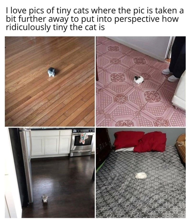 The best Perspective memes :) Memedroid