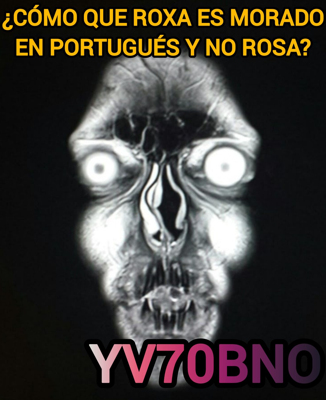 Top memes de Rosa en español :) Memedroid