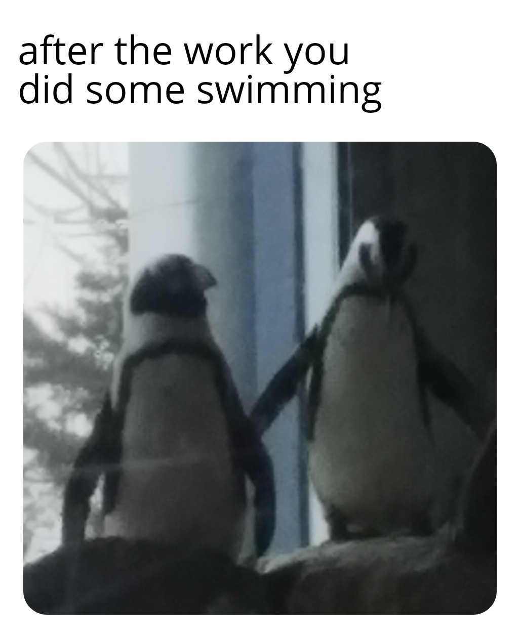 The Latest Memes :) Memedroid