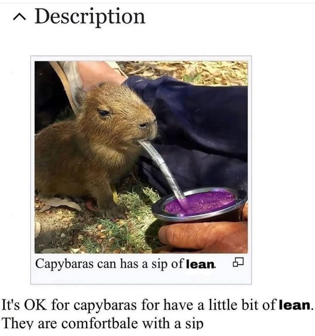 The best Lean memes :) Memedroid