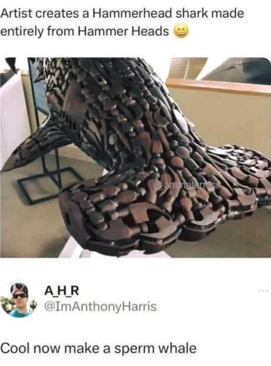 The best Shark memes :) Memedroid