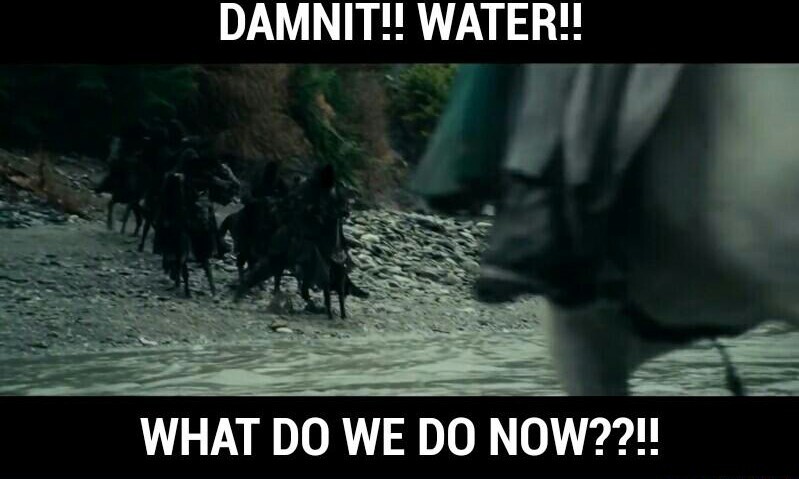 Nazgul's have rabies - Meme by Luiggie :) Memedroid