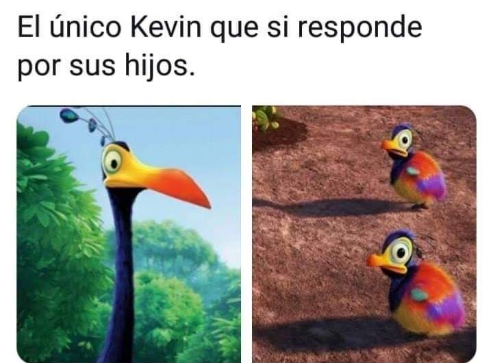 El Kevin - Meme by wolschaldo :) Memedroid