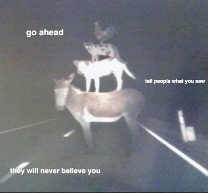 Never - Meme subido por RADFROOD25 :) Memedroid