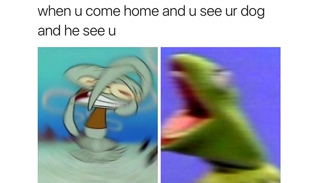 Welcome home starter pack - Meme by Bitch_Slap132 :) Memedroid