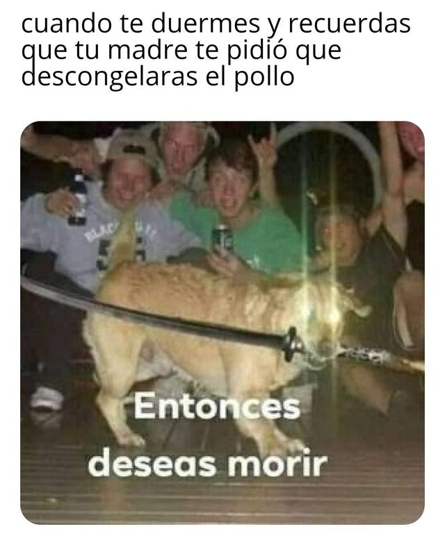 perro epico con catana - Meme subido por floresmacoca :) Memedroid