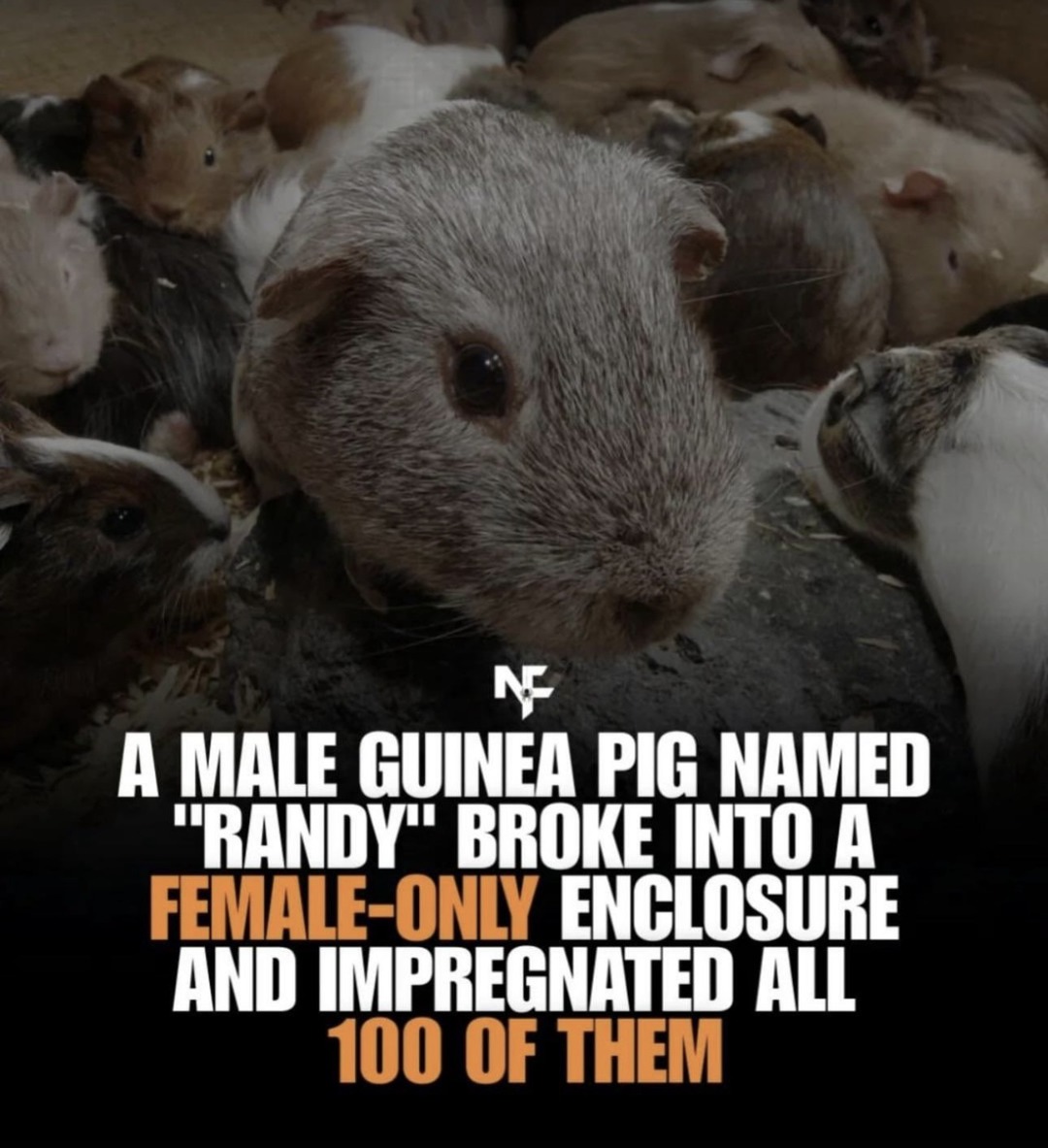 The best Randy memes :) Memedroid