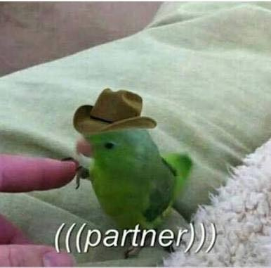 pardner - Meme by yeetusdeletus :) Memedroid