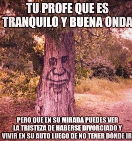 Memes De Ingeniero Forestal