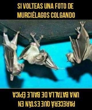 Angi_Anime :) Memedroid