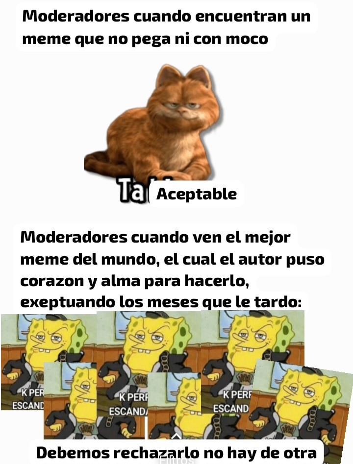 Memes Del Moco