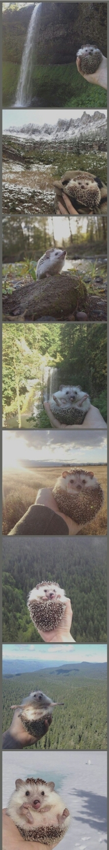 the adventure continues - Meme subido por shzball :) Memedroid