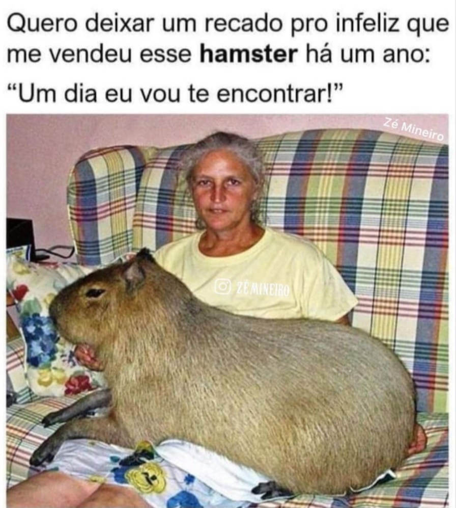 Preá - Meme by NecroEdu :) Memedroid