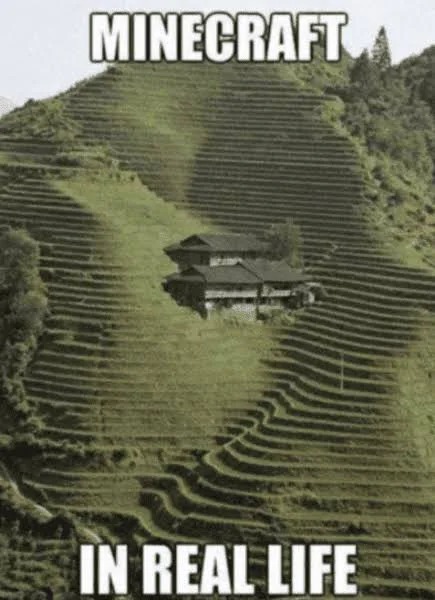 Minecraft in real life - Meme subido por HenryCat :) Memedroid