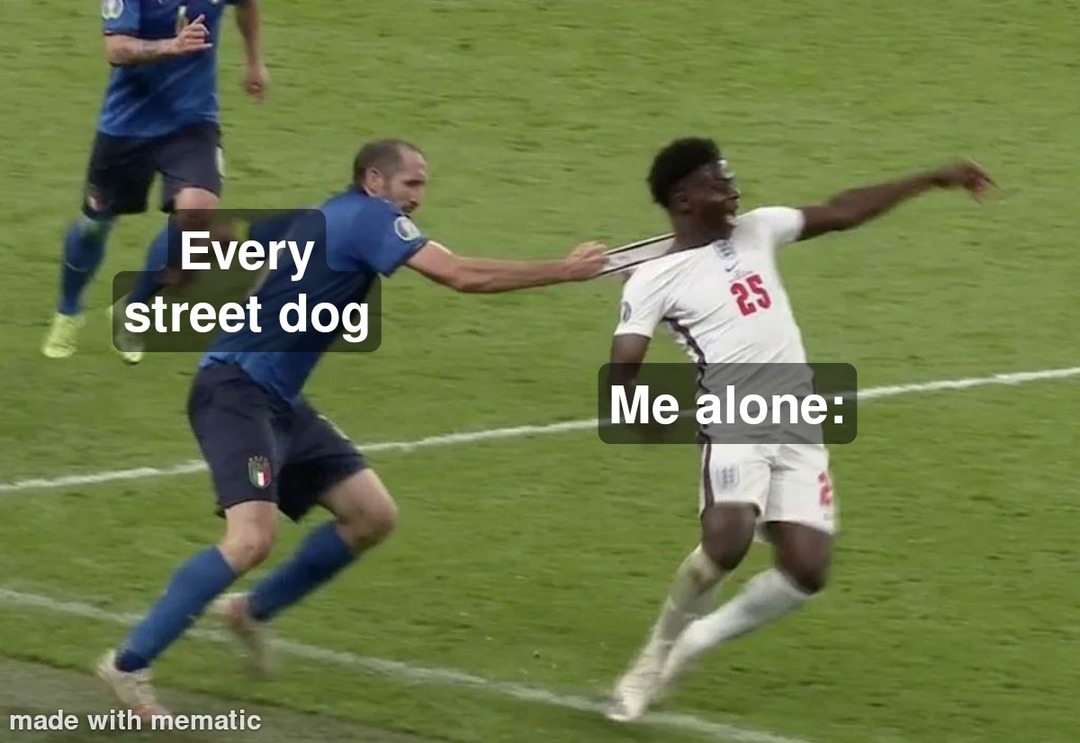 Coming back home in the small streets at 8PM (I was with friends ...