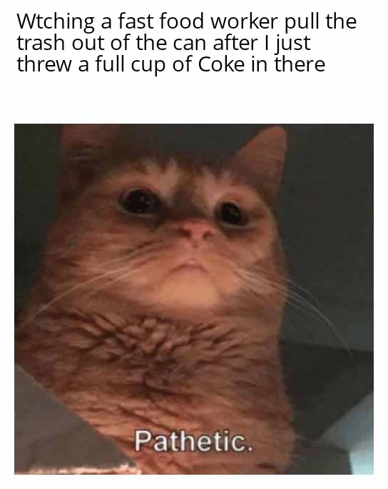 The Latest Memes :) Memedroid