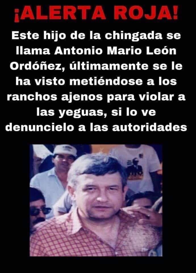 Top memes de amlo zoofilico en español :) Memedroid